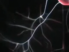 Welcome to DPIC | British Columbia Drug and Poison Information Centre ...